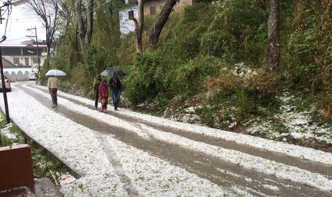1888 hailstorm in Uttar Pradesh identified as world's deadliest storms 1888 hailstorm in Uttar Pradesh identified as world's deadliest storms
