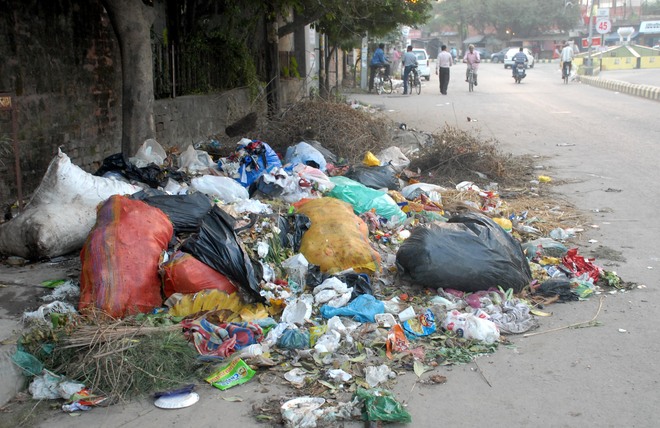 Ahead of Diwali, garbage heaps dot city roads - The Tribune