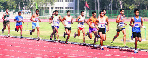 Athletics meet begins at Punjabi University : The Tribune India
