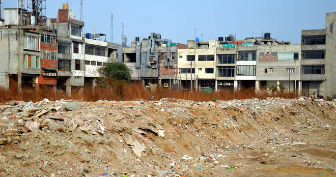 MC apathy costs SCO owners dear as development work held up - The Tribune