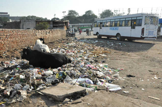 Hygiene remains a casualty at inter-state bus terminal : The Tribune India