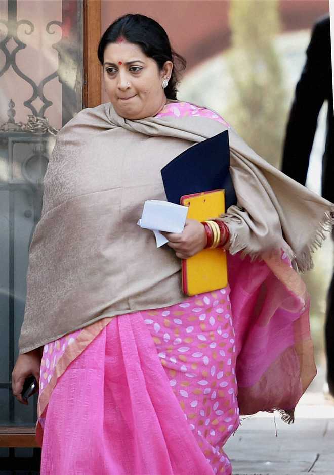 Smriti meets RSS outfits, discusses skill development : The Tribune India