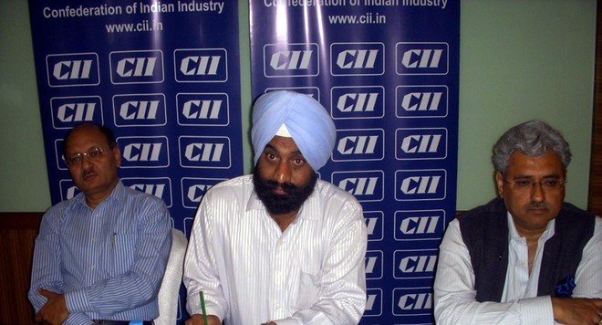 CII members discuss export strategy : The Tribune India