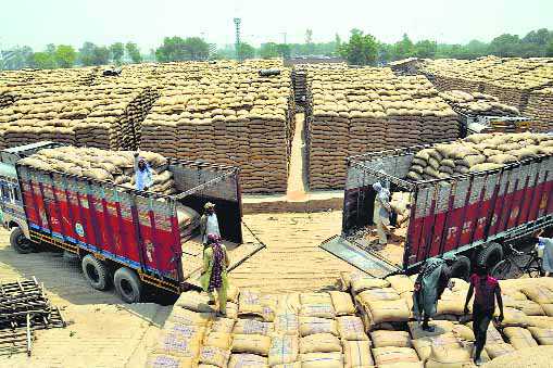 Pungrain, PWC lock horns over construction of silos : The Tribune India