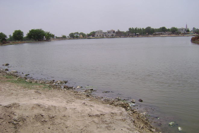 Plan ready, but no work started at Gulari village - The Tribune