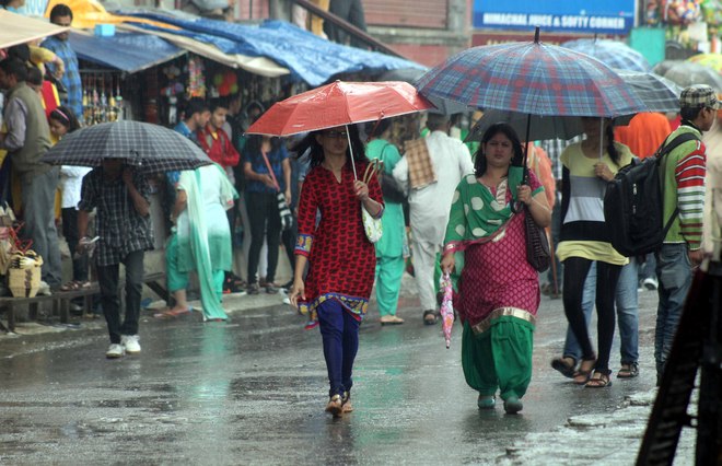 Rain cheers apple growers : The Tribune India