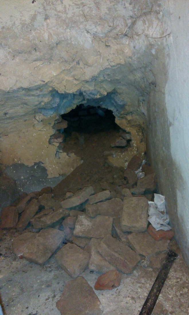 ASI team collects samples from Kultaran tirtha - The Tribune