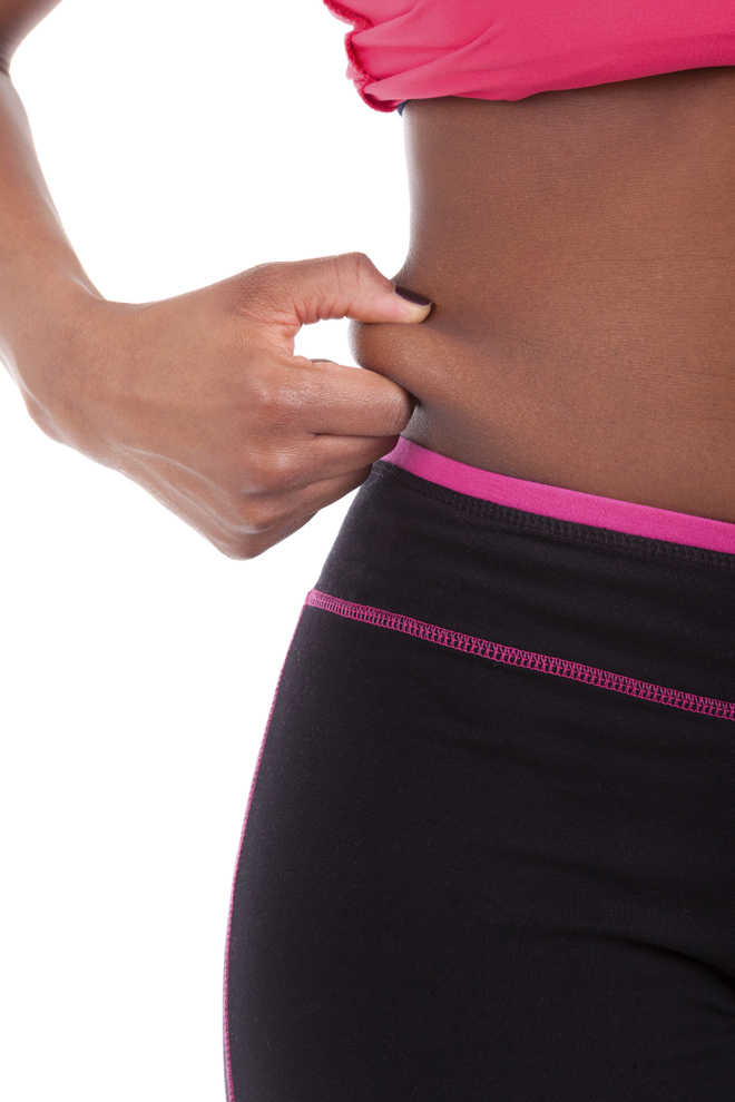 The fight against flab : The Tribune India