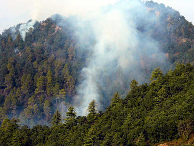 Mussoorie division battles with forest fires - The Tribune