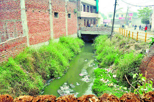 Rs 10 crore sanctioned to cover open drain : The Tribune India