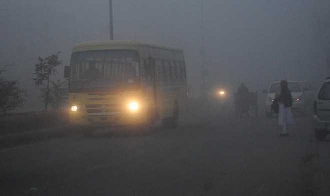 Intense fog returns after many days, hits life : The Tribune India