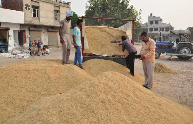 Paddy procurement begins today : The Tribune India