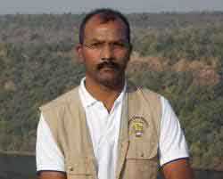 Tiger sighting in Kumaon hills not surprising: Dr Ramesh - The Tribune