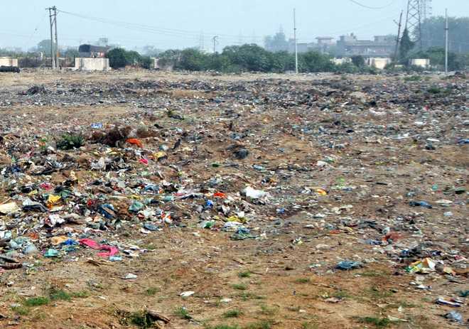 Sports Stadium Site A Garbage Dumping Ground The Tribune India