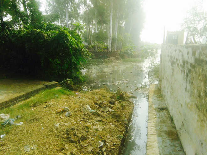 Nangal: A model village with no model for basic facilities : The ...