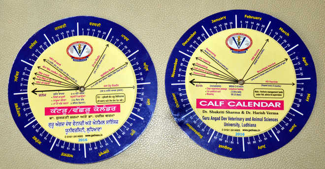 GADVASU comes up with calf calendar : The Tribune India