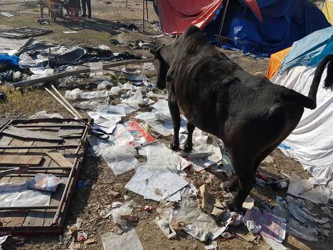 Kullu Dasehra stalls affecting environment, says NGO : The Tribune India