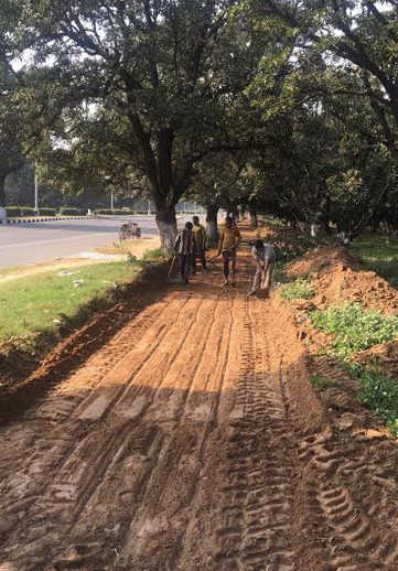 UT starts construction of cycle track in mango garden - The Tribune