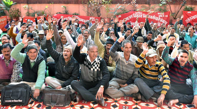 Forest Corp staff protest for better pay - The Tribune
