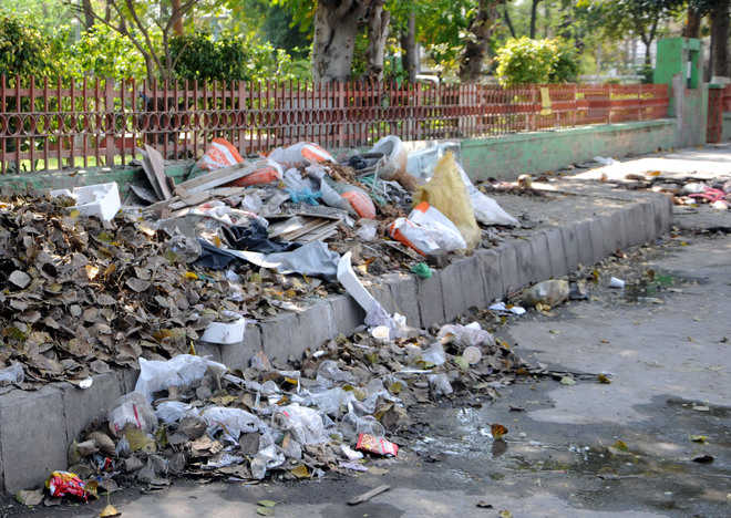 Administration’s indifference turns public park into garbage dump - The ...