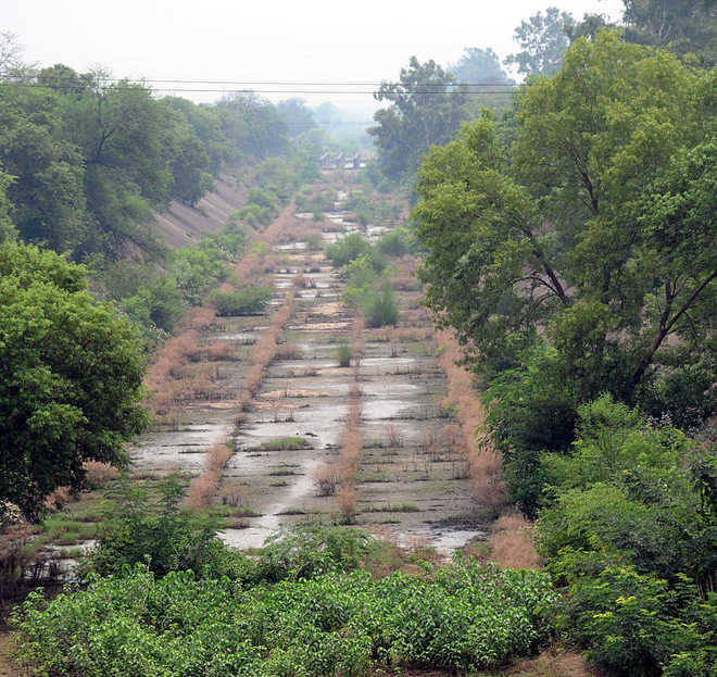 Can’t stop us from returning SYL land, state tells SC : The Tribune India