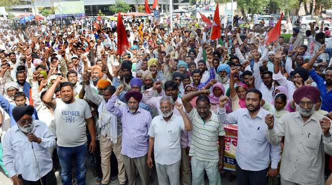 Trade union workers up in arms - The Tribune