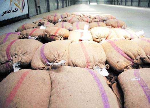 A high-tech attempt to ease Egyptian grain drain : The Tribune India