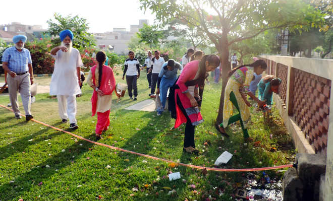 NSS volunteers carry out cleanliness drive at park - The Tribune