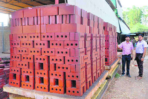 Bold & beautiful, brick by brick : The Tribune India