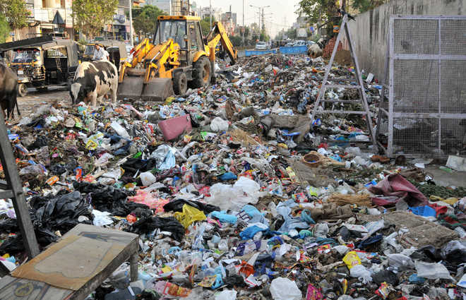 Following Jindal walk-out, MCJ begins clearing garbage mess - The Tribune