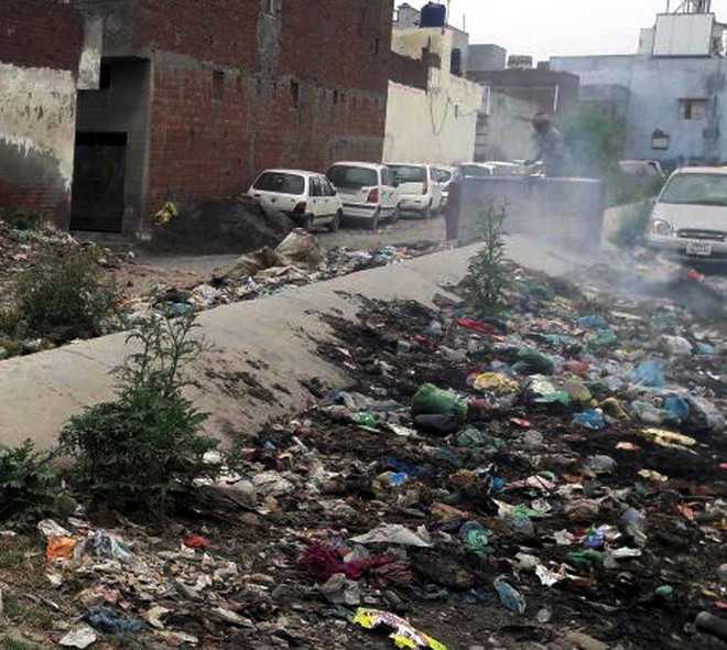Golden Temple’s water channel now a garbage dumpyard - The Tribune