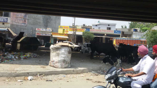 Khanna NGO sends pictures of garbage dumps to PM - The Tribune