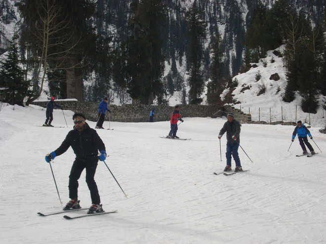 Two from state included in international ski sub-panel - The Tribune