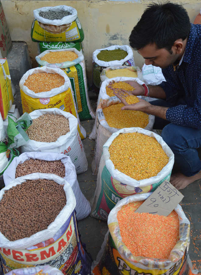 Central committee to review MSP to promote pulse cultivation - The Tribune