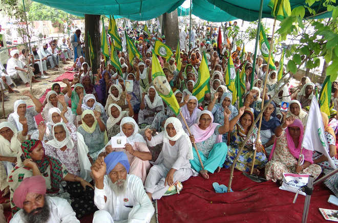 ‘15 to 18 per cent farmers have become landless’ - The Tribune