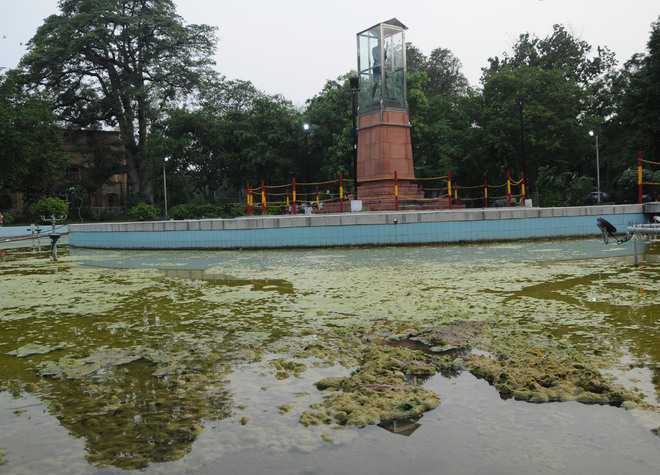 Algae-infested water inside Company Bagh a health scare - The Tribune
