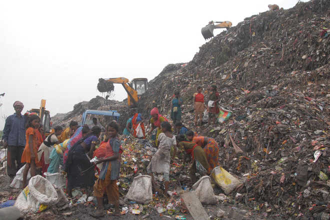 425 tonnes of garbage daily, no way to process it in city : The Tribune ...