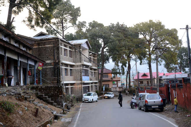 HIMUDA colony in D’sala built on forest land - The Tribune