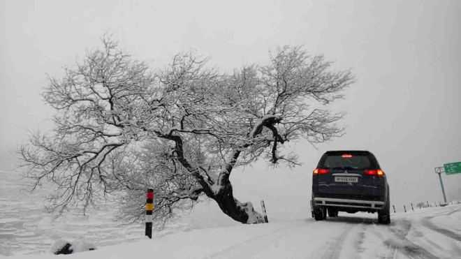 Snowstorm chasers reach Harsil - The Tribune