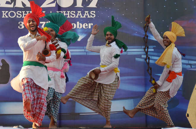 PCTE fest enters fifth day - The Tribune