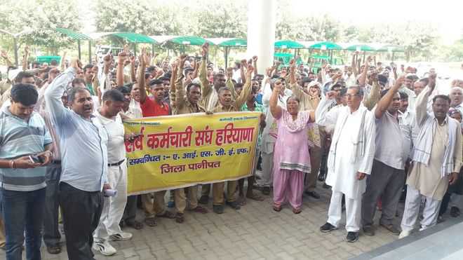 Karamchari sangh supports sacked JBT teachers : The Tribune India