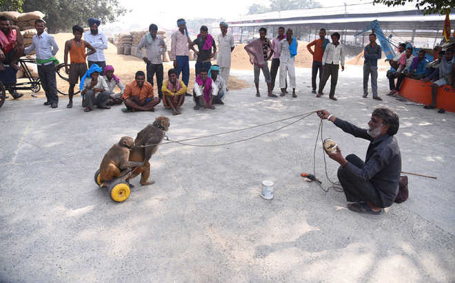 Defiant Ludhianvis : The Tribune India