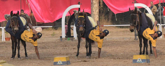 Riders on the storm - The Tribune