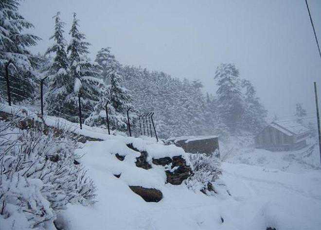 Heavy snowfall cripples life in Pangi - The Tribune