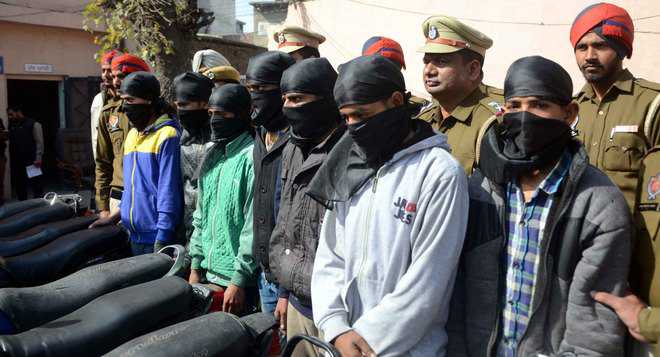 Gang of thieves busted, 7 held with 18 vehicles : The Tribune India