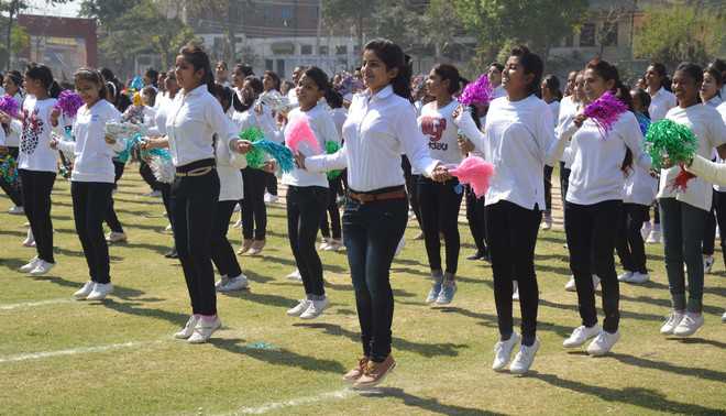 Participants slug it out at annual sports meet - The Tribune