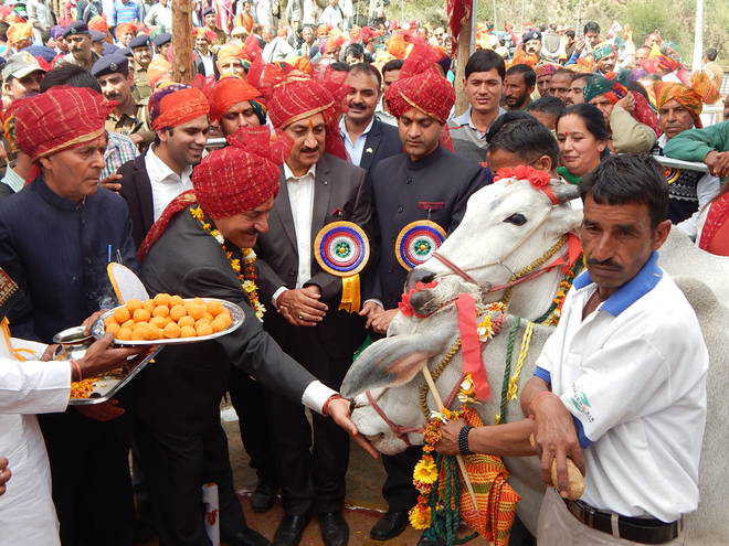 Nalwar Fair takes off in Sundernagar : The Tribune India