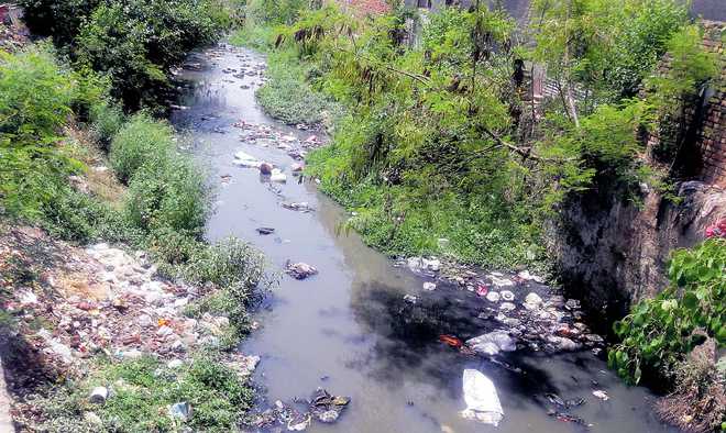 Open nullah at Zirakpur poses health hazard : The Tribune India