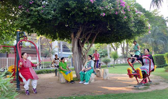 Residents’ goodwill helps maintain park - The Tribune