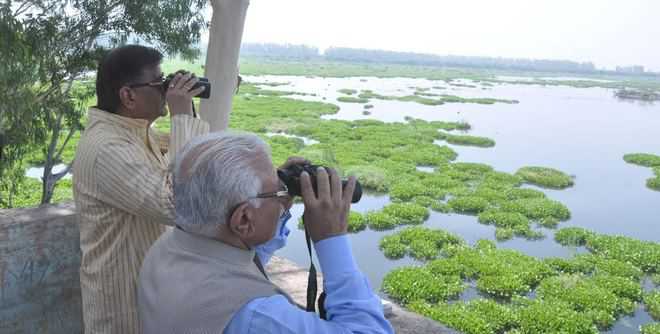 Bhindawas bird sanctuary to be developed as tourist resort: CM - The ...